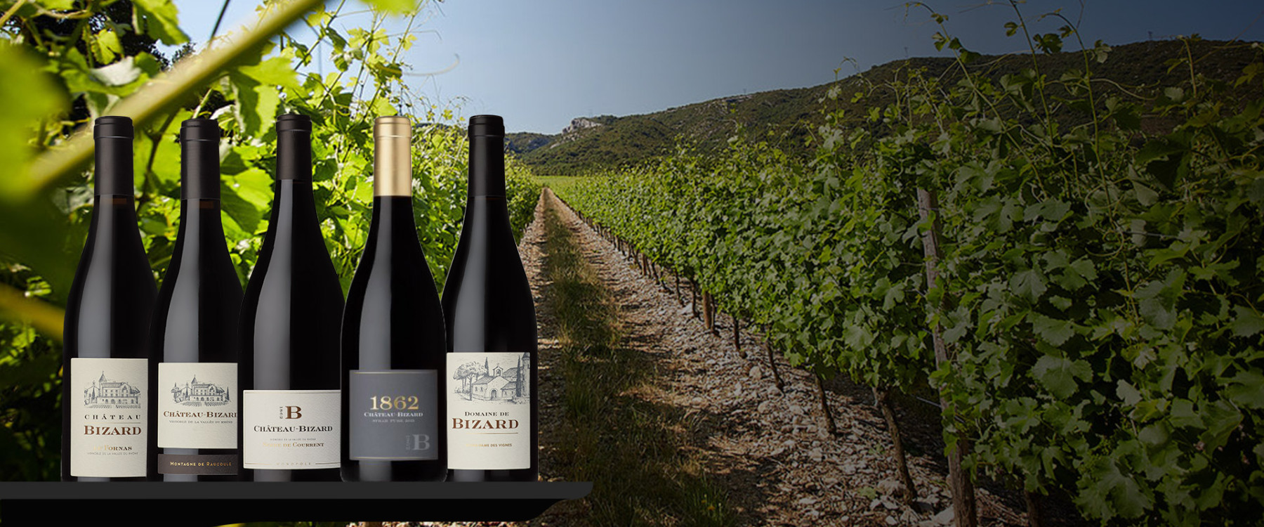 Grignan les Adhémar WIne - Red, white rosé and AOP Wines - Château Bizard